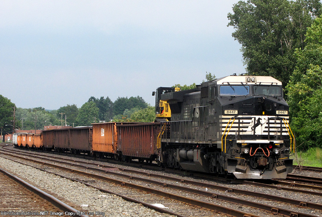 NS 8447