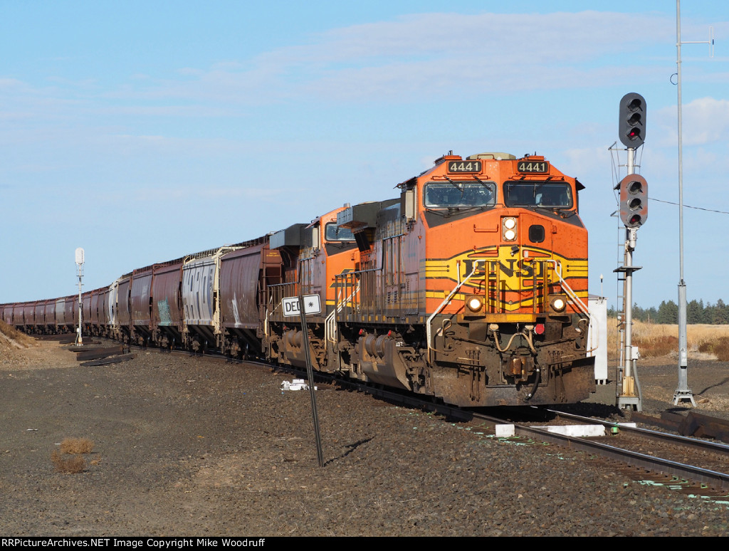 BNSF 4441