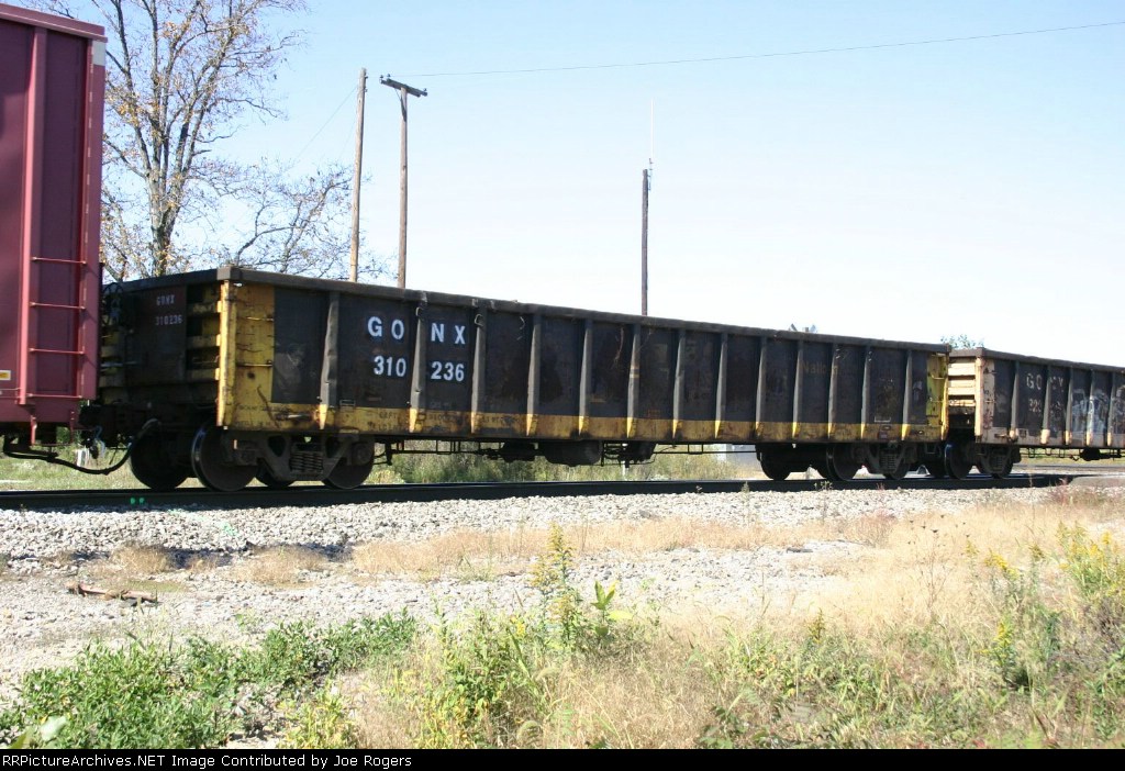GONX 310236