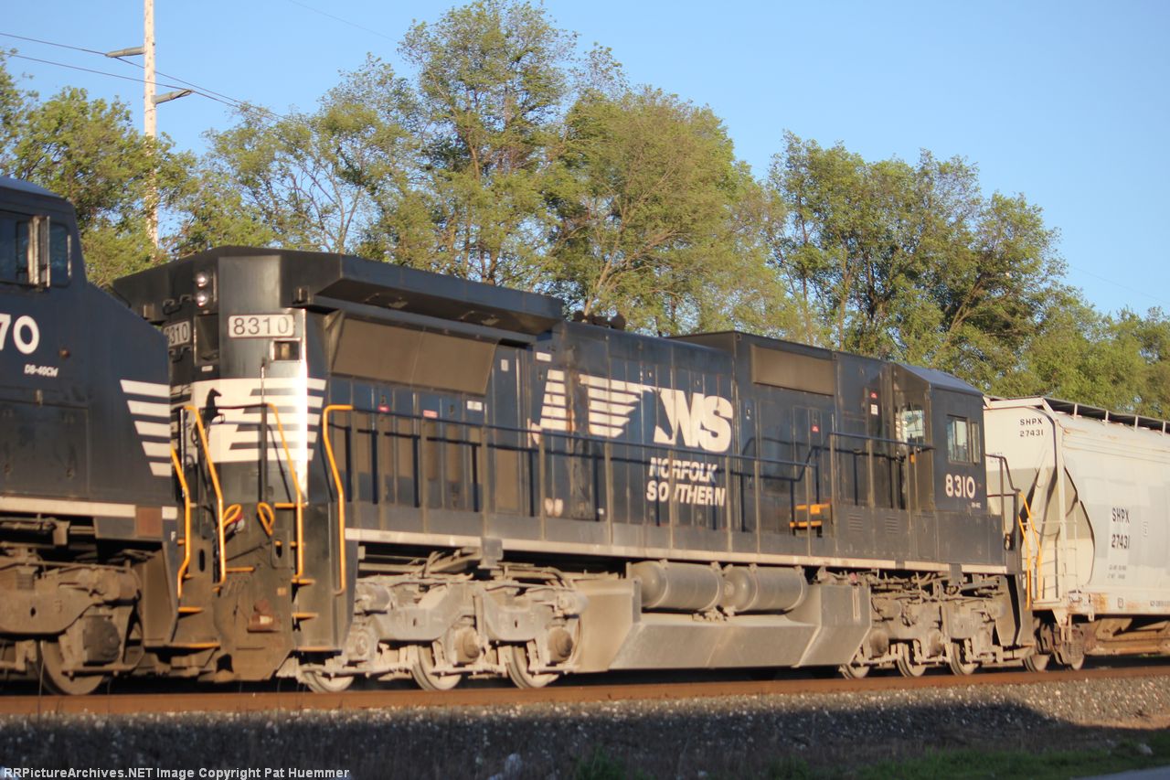 NS 8310