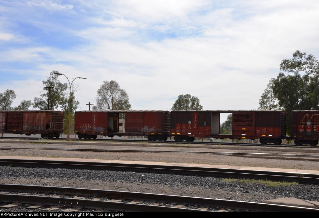FXE Box Cars ex NdeM in Benjamin Hill