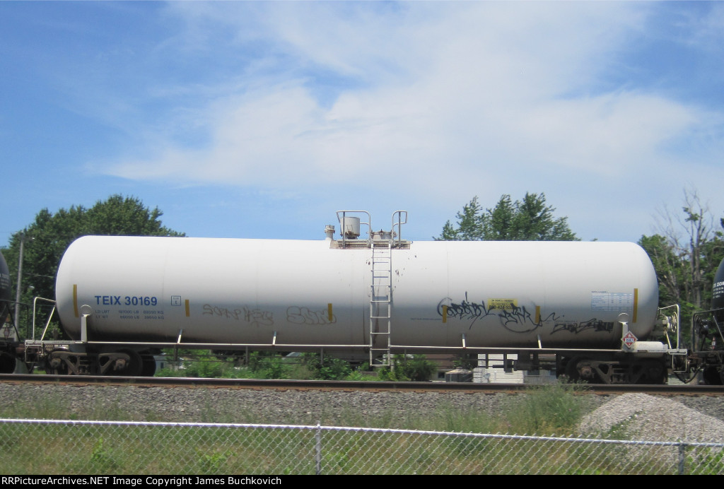 TEIX 30169