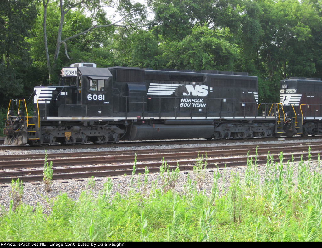NS 6081
