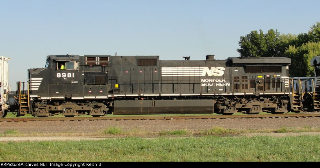 NS 8981