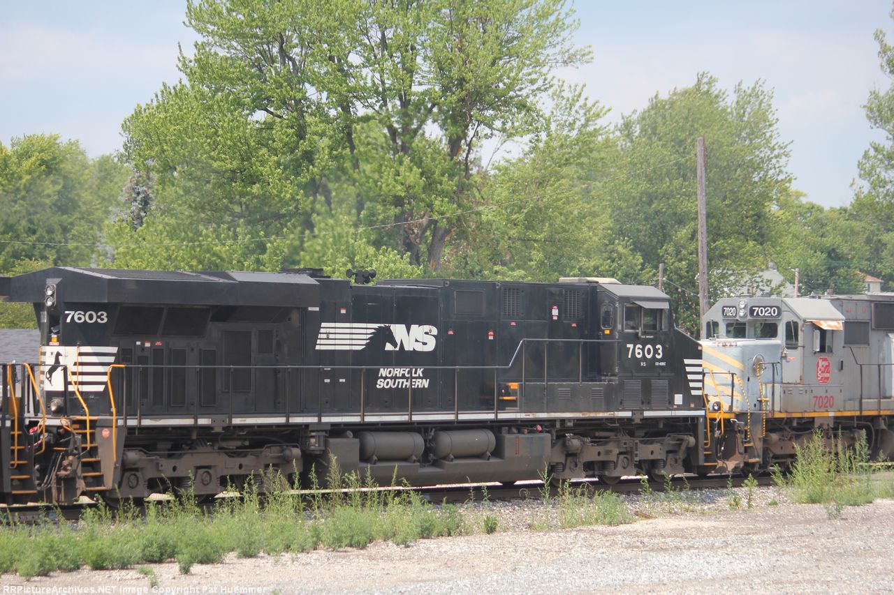 NS 7603