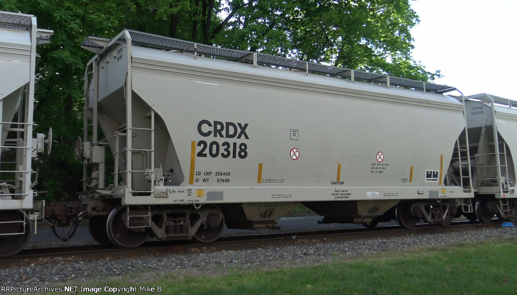 CRDX 20318