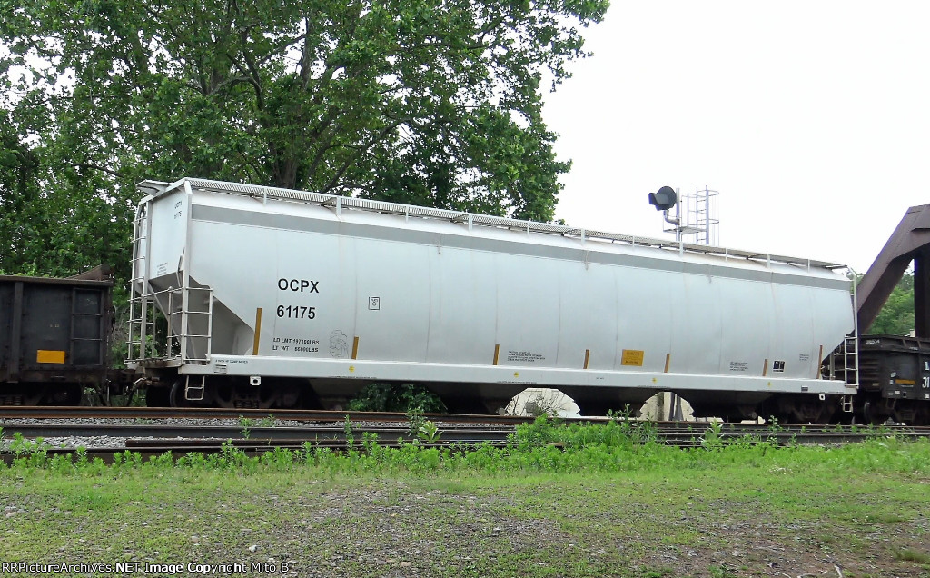 OCPX 61175