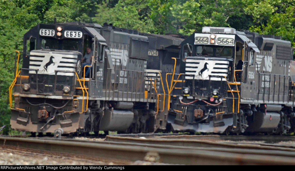 NS 6636-NS 5664