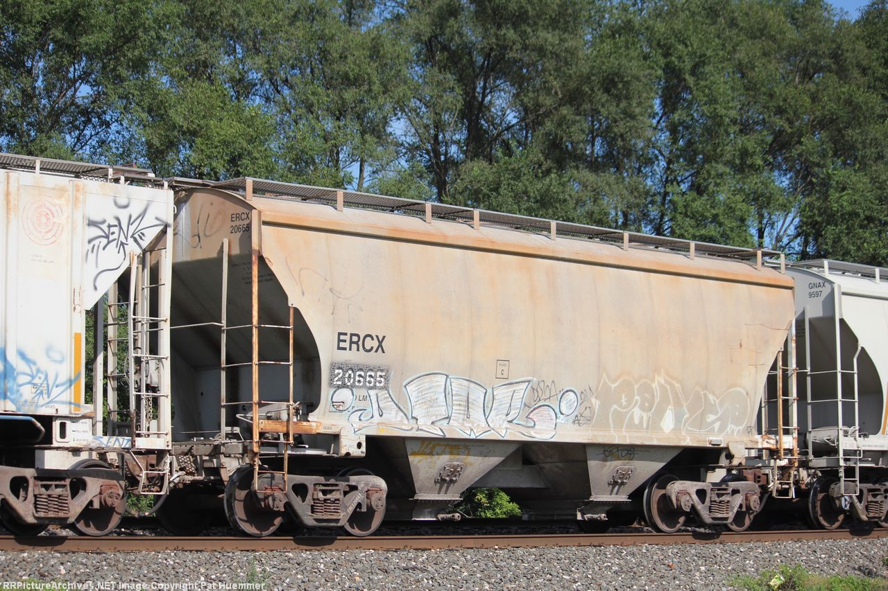 ERCX 20665