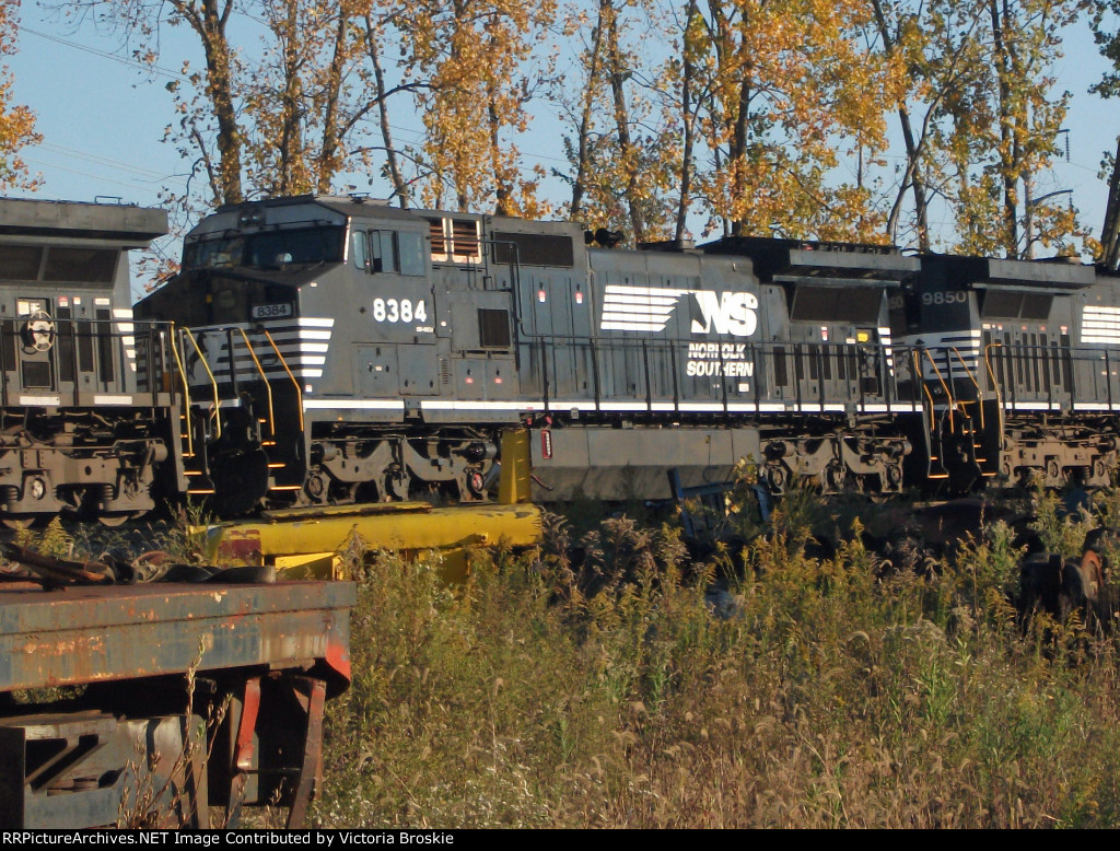 NS #8384