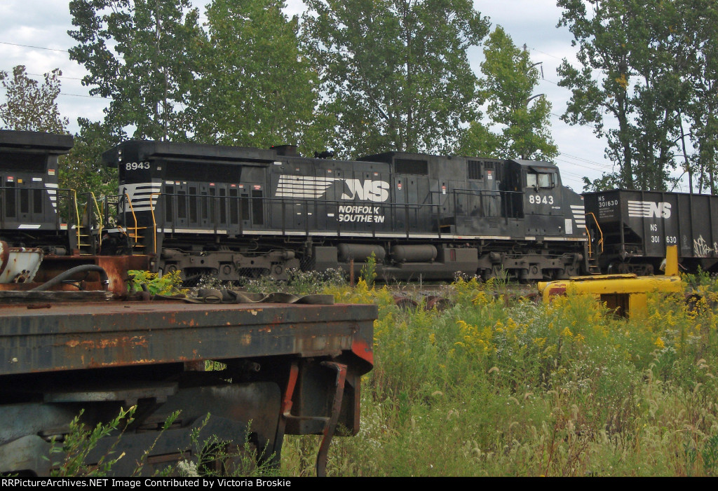 NS #8943