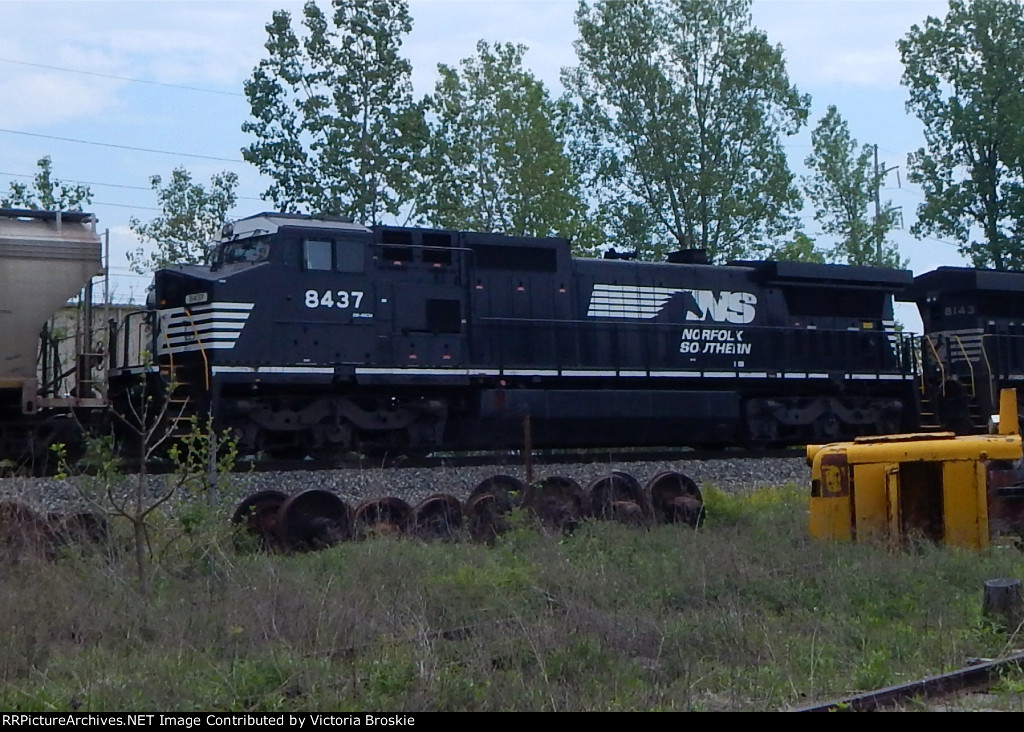 NS #8437