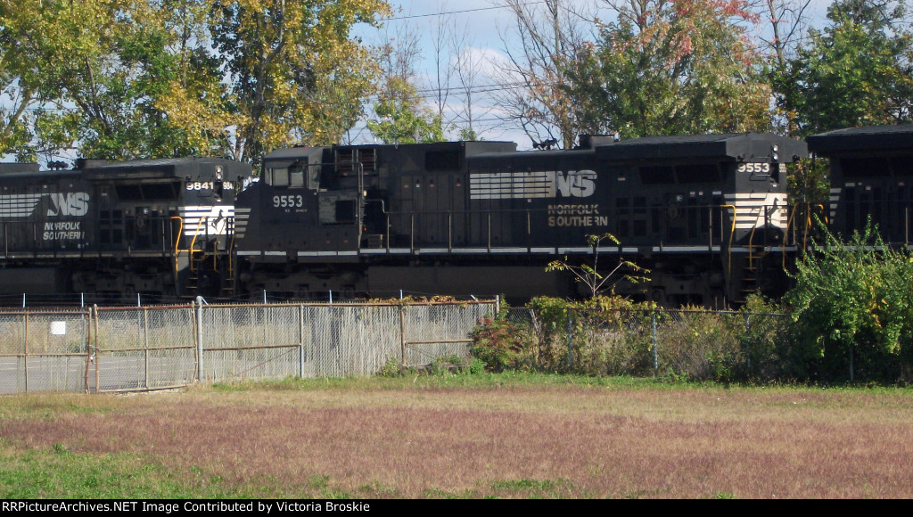 NS #9553