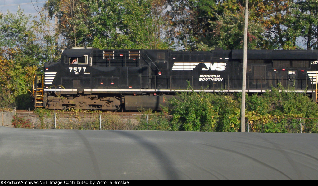 NS #7577