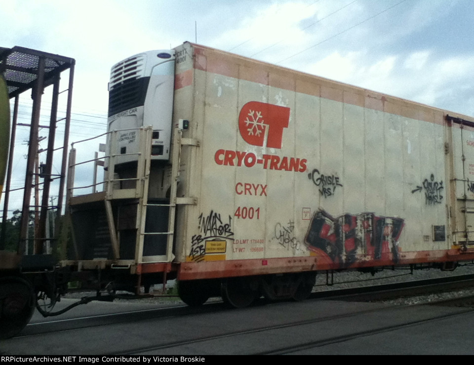 Cryo-Trans