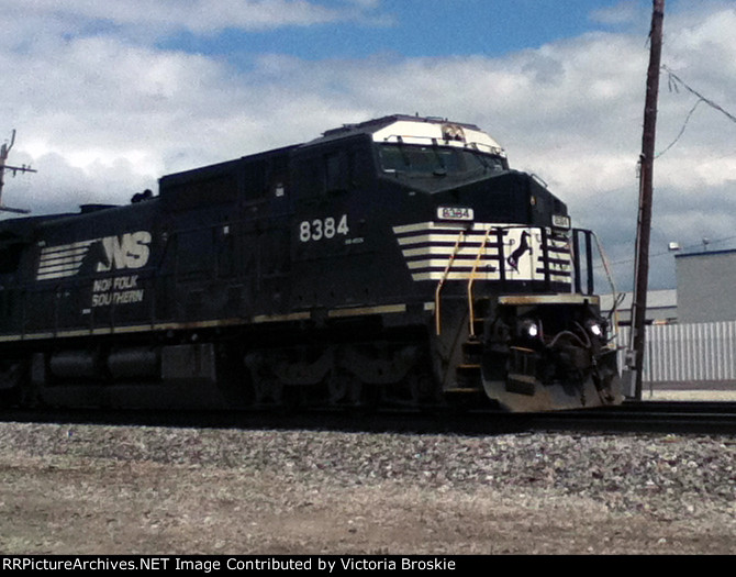 NS #8384