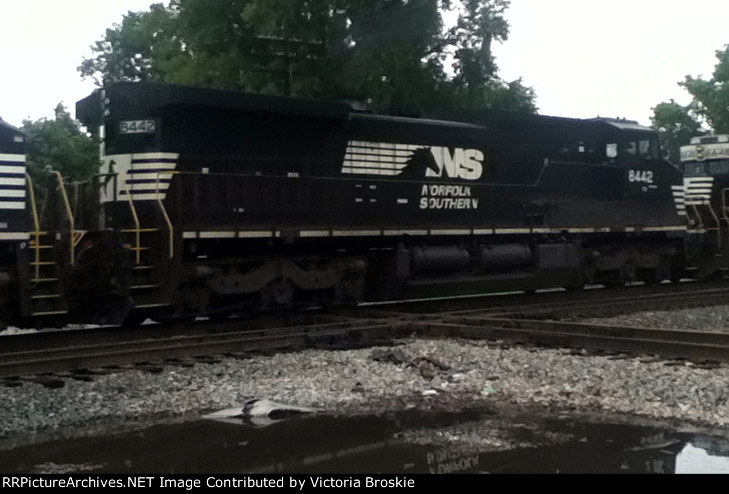 NS #8442