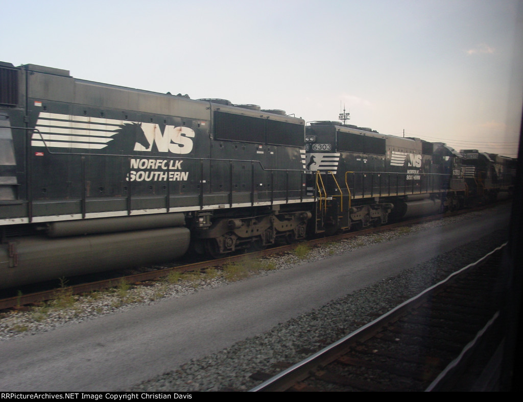 NS 6373 and NS 6316