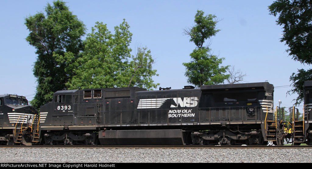 NS 8393