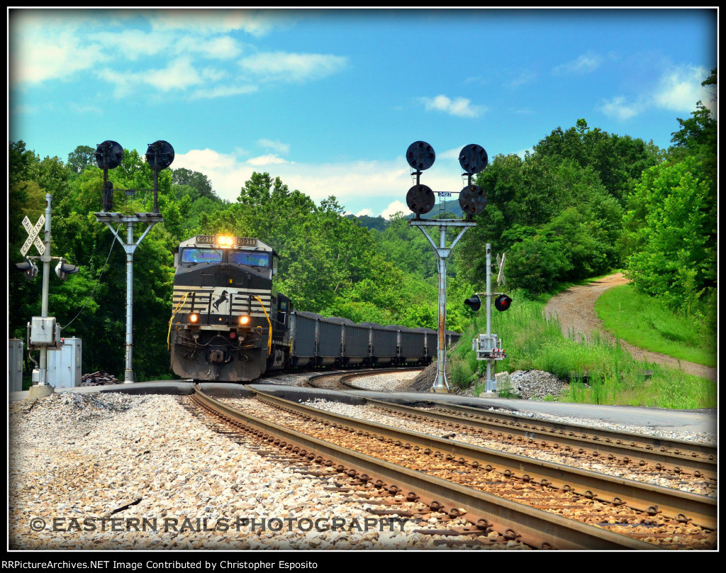 NS 9911 leads an eastbound coal drag