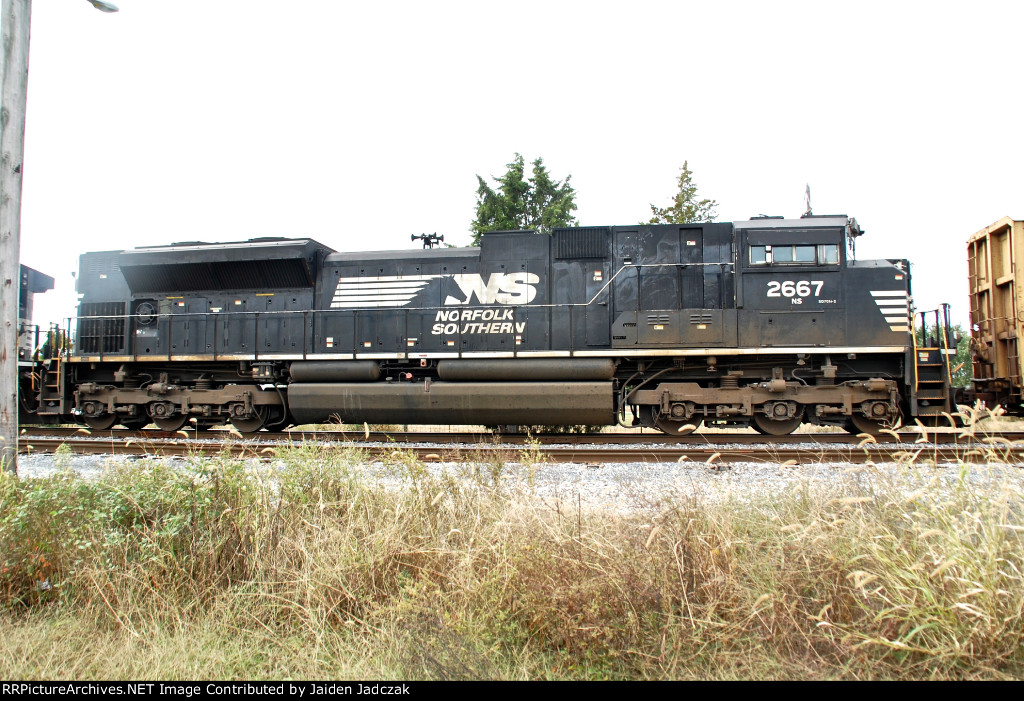 NS 2667