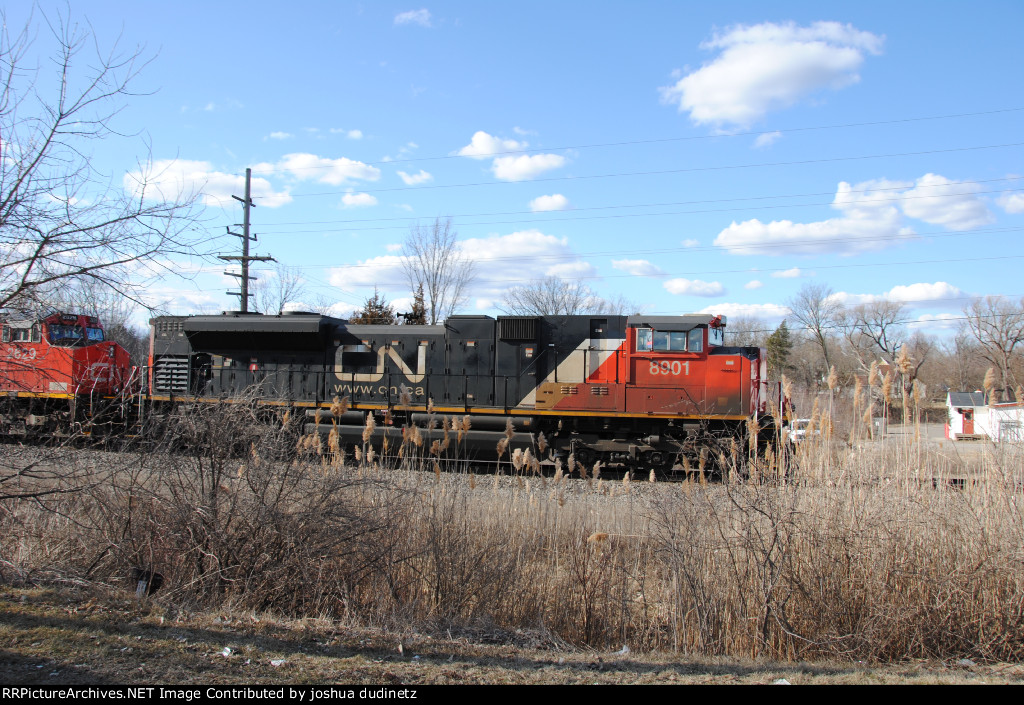 CN 8901