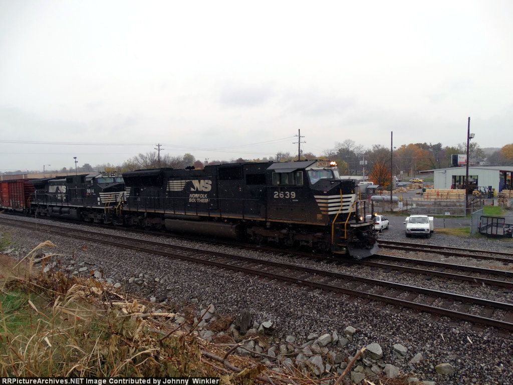 NS 2639 leads NS 37Q