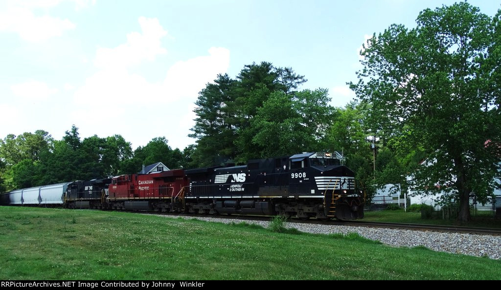 NS 9908 leads NS 134