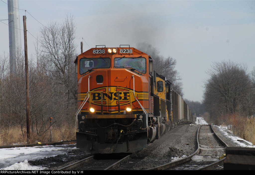 Another Daylight NS 506