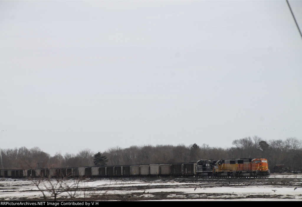 Another Daylight NS 506