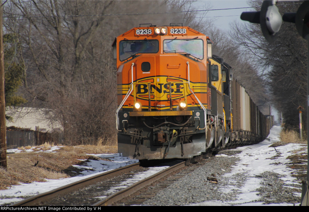 Another Daylight NS 506