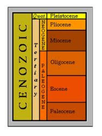 Cenozoic Period timeline | Timetoast timelines