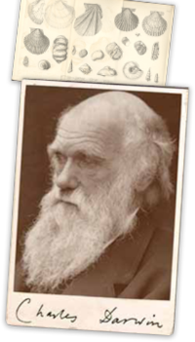 Charles Darwin´s timeline | Timetoast timelines