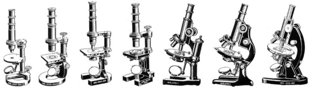 History of the Microscope timeline | Timetoast timelines