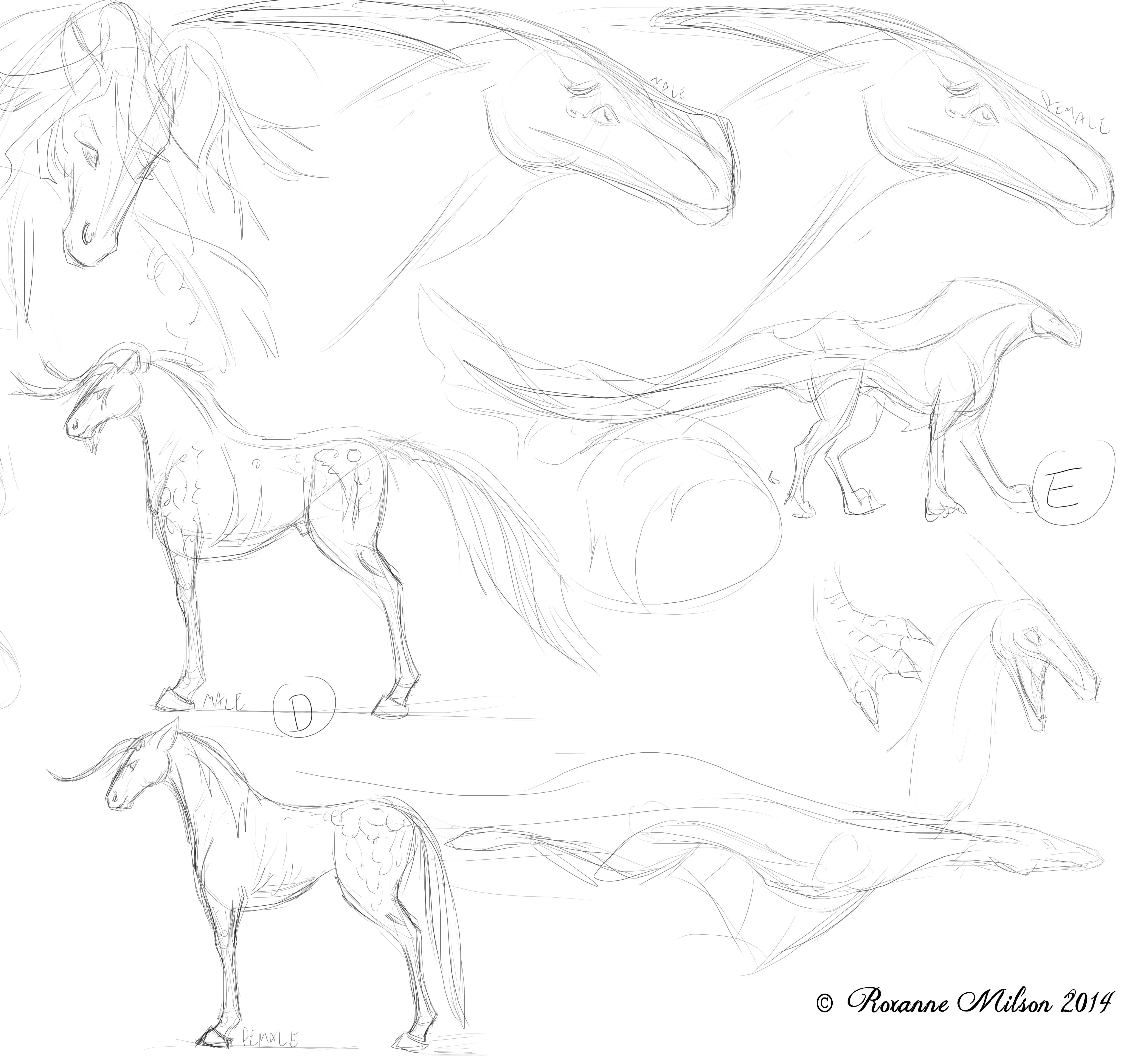 The Concepts | Skillshare Student Project