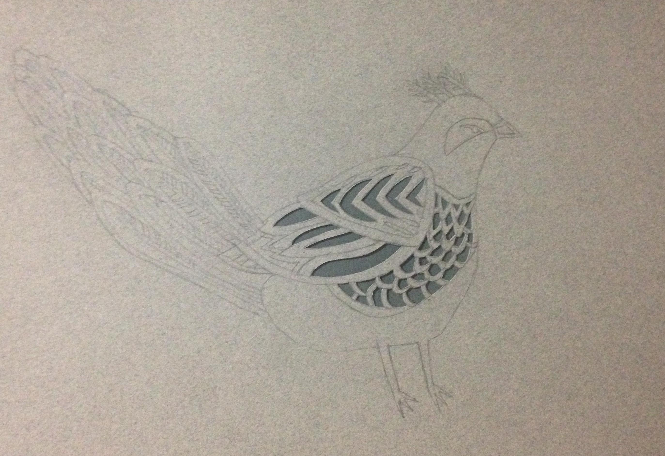 Bird | Skillshare Student Project