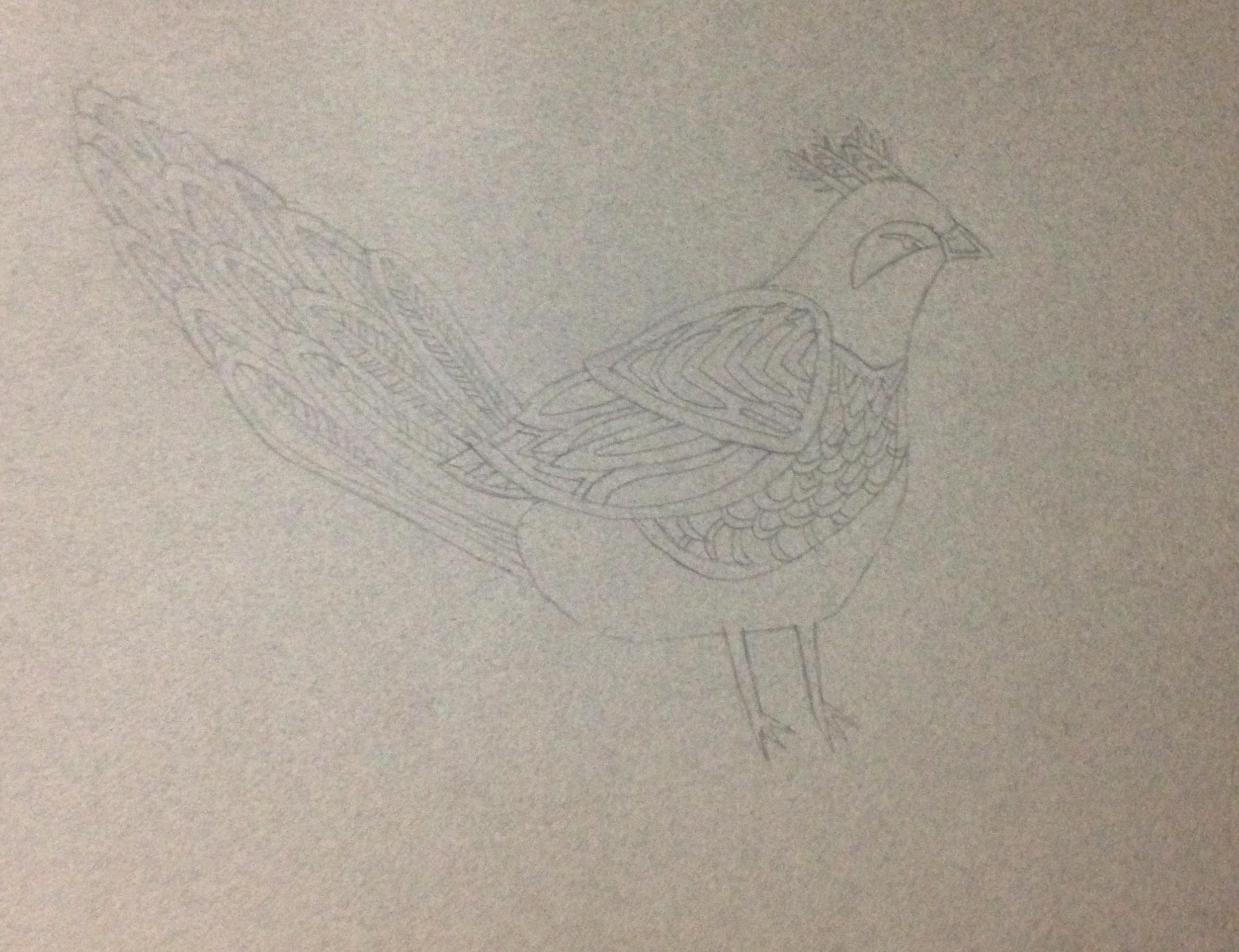 Bird | Skillshare Student Project