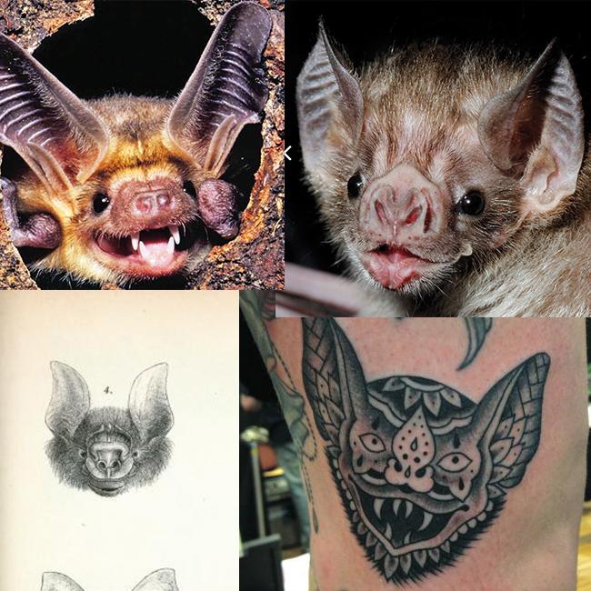 Batman's brother | Skillshare Student Project