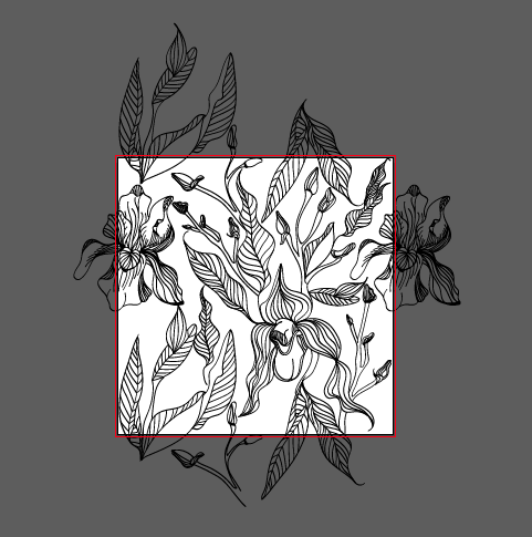 ORCHID BEAUTY | Skillshare Student Project