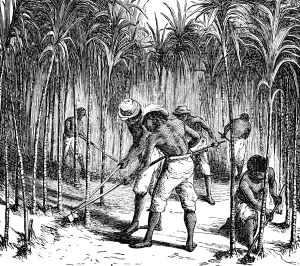 Slave Routes - Economics - Transatlantic Slave Trade @ Pitt - LibGuides ...