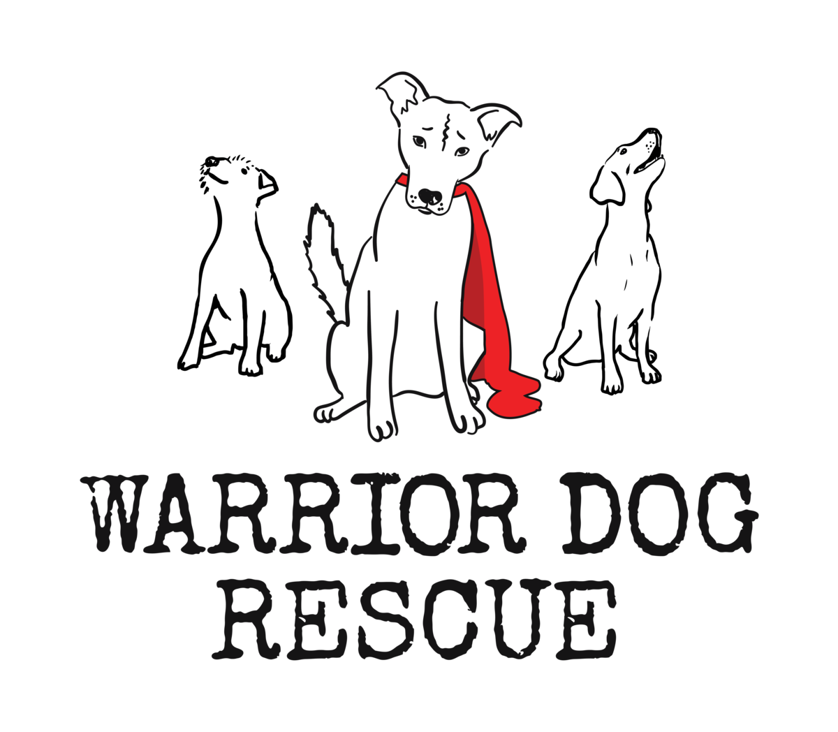dog-and-puppy-care-at-the-dog-house