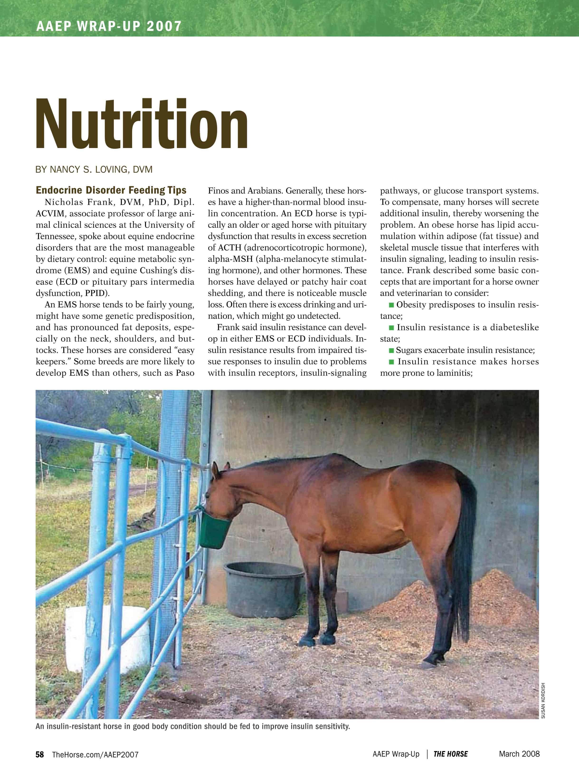 Nutrition Update – The Horse