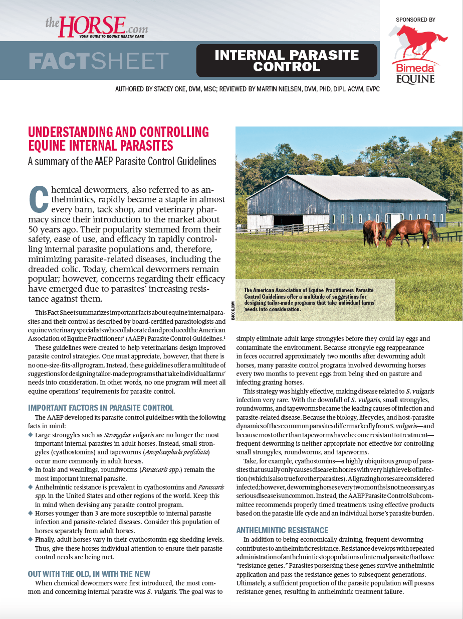 Understanding and Controlling Equine Internal Parasites – The Horse
