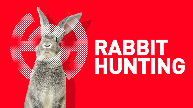 Rabbit Hunting - HighStakes - บล็อก