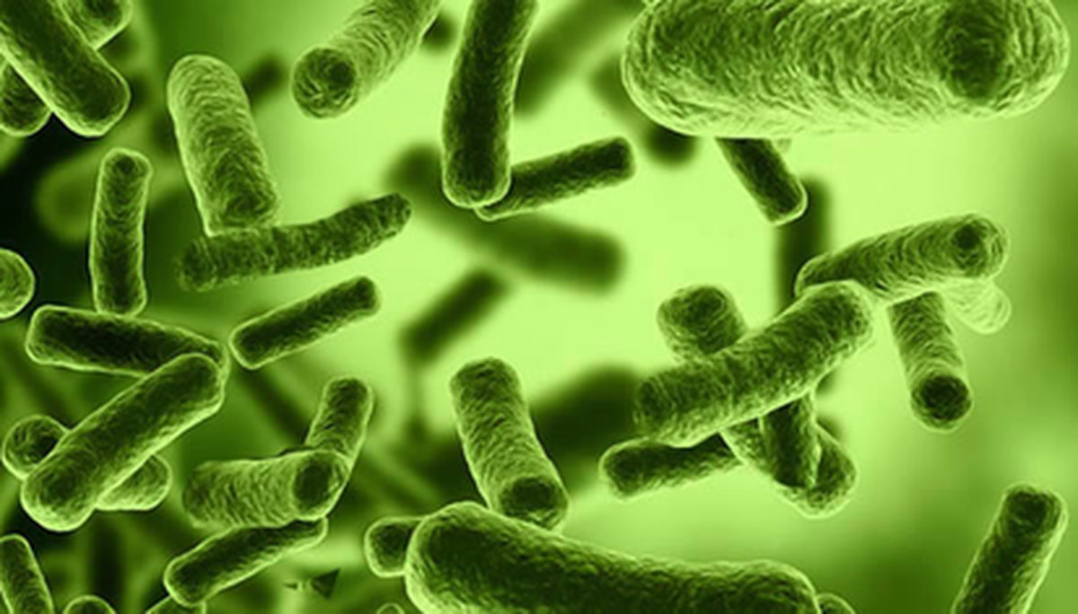 ¿Qué es candidiasis y cuáles son los síntomas? - 1DOC3