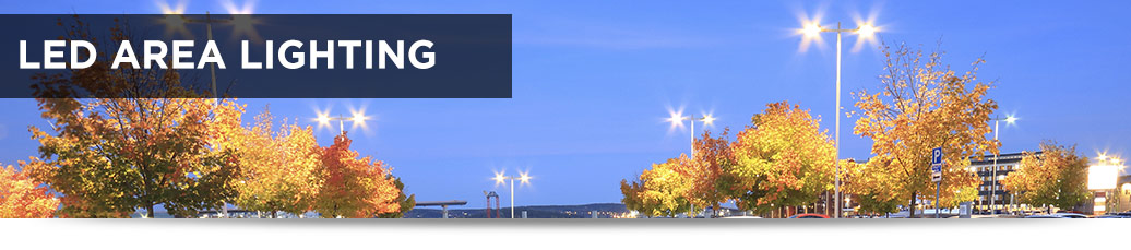 LED Area Light Fixtures | 1000Bulbs.com