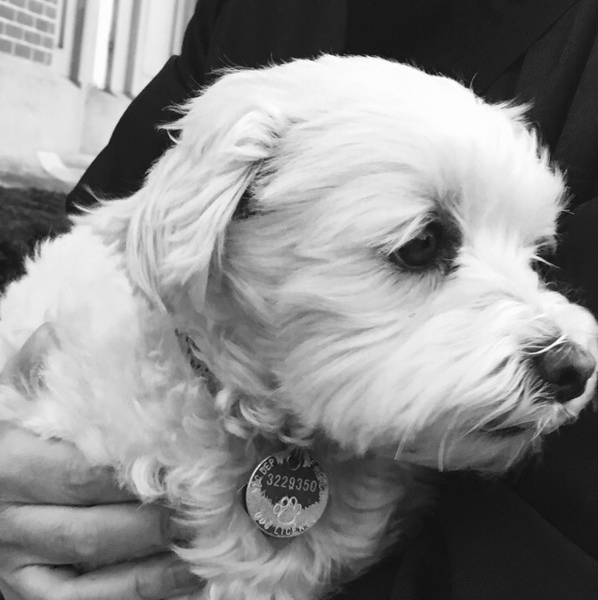 Areanna's school portfolio