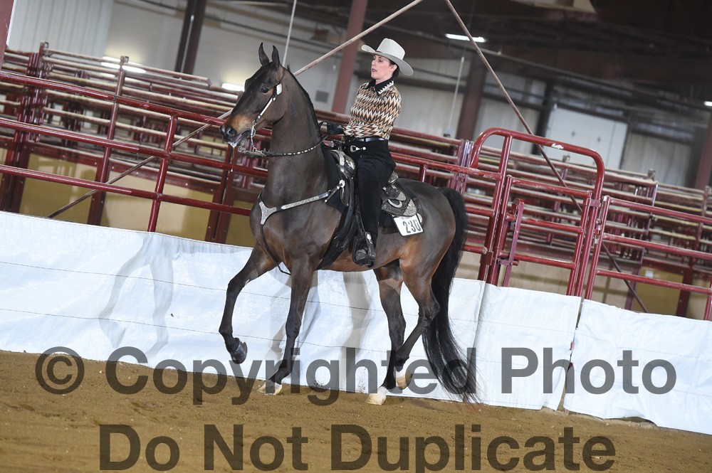Friday Evening 6:30pm Classes #1-31 - Horse Show Proofs - 2019 - A ...