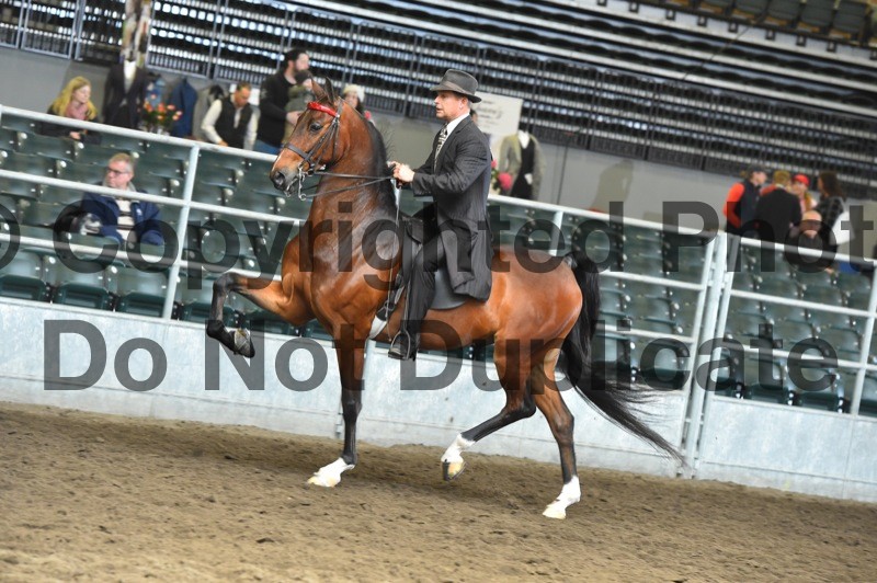 Sunday Morning 10:00am - Classes #94-114 - Horse Show Proofs - 2019 - E ...