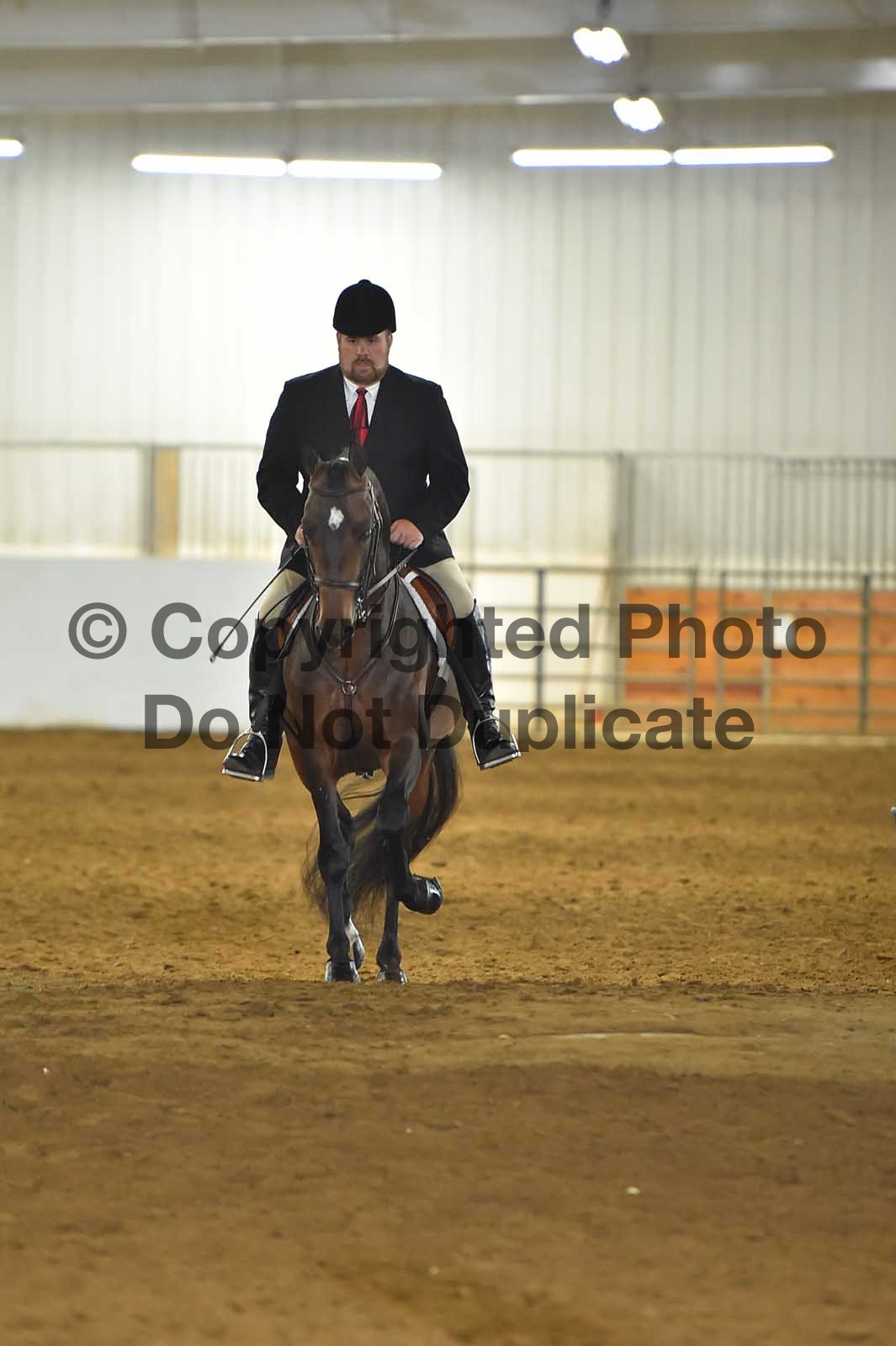 Thursday Morning 10:00am - Classes #01-32 - Horse Show Proofs - 2019 ...